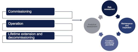 Offshore wind farm life management and lifetime extension
