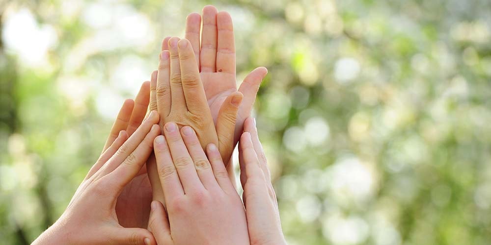 Synergi Life training