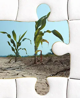 The climate change puzzle