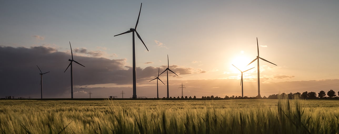 Windiness 2021 global