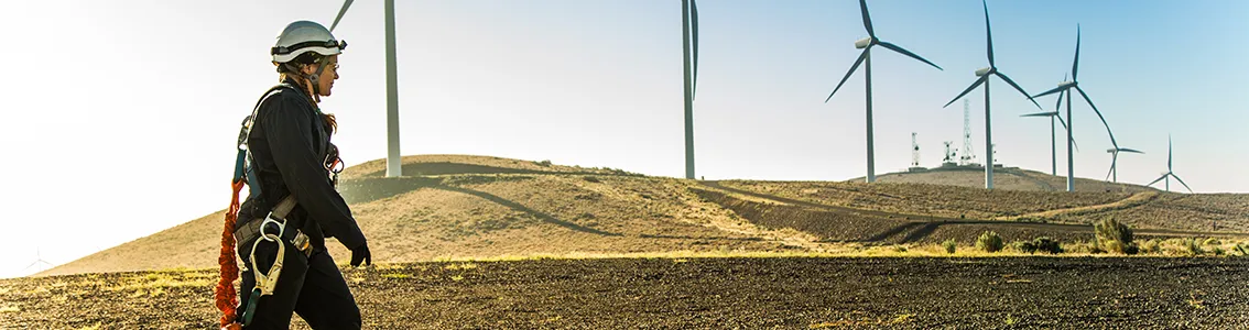 A guide to wind farm performance optimization