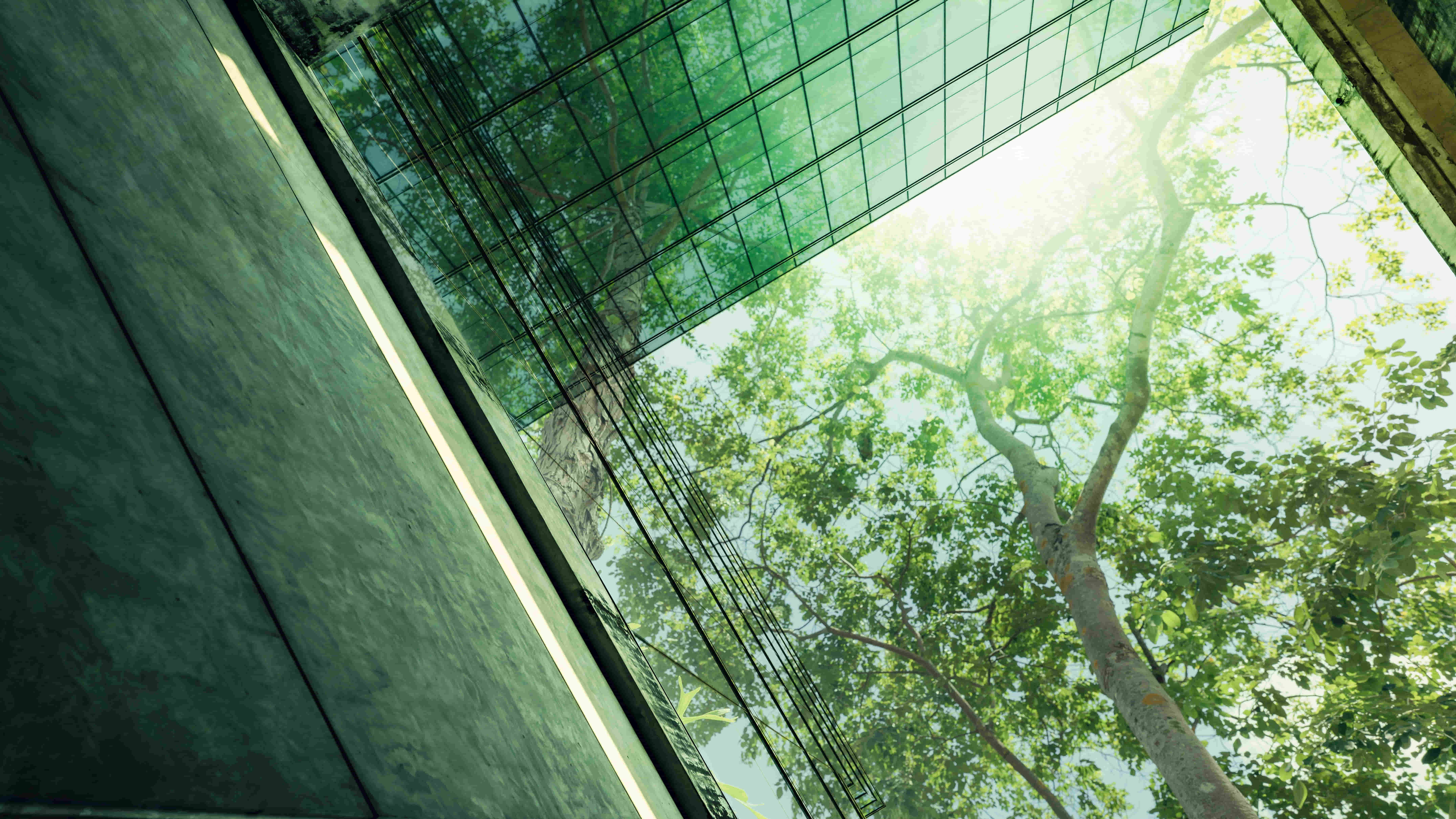 ISO 14001:2026 Auditor/Lead Auditor Training Course | DNV