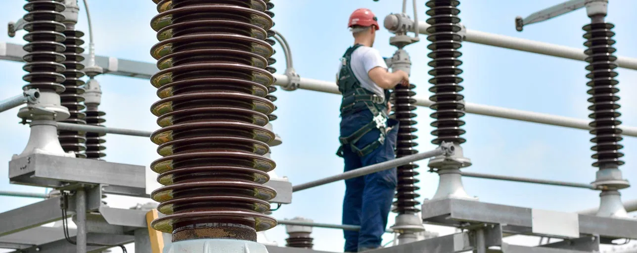 Recorded webinars | Electric Grid software