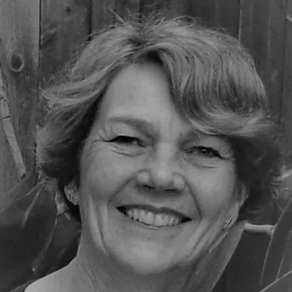 Verification of offshore riser systems