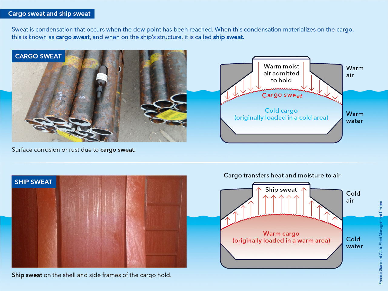 New guidance document for cargo and cargo hold ventilation