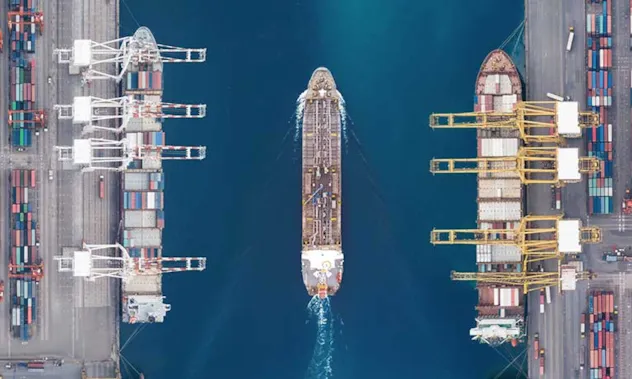 Cargo owners and consumers