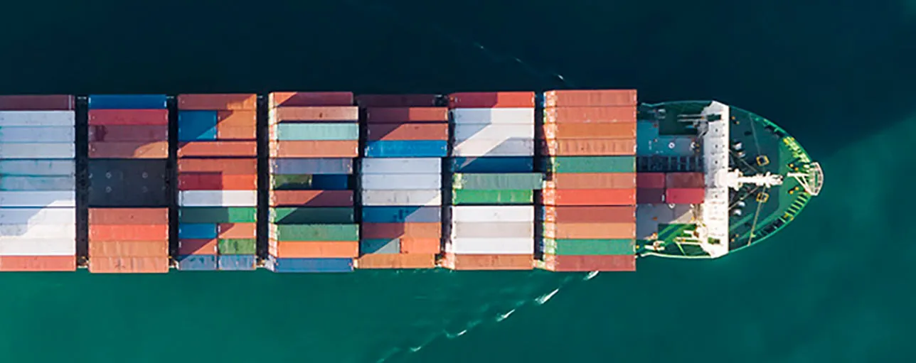 Containerships services - DNV