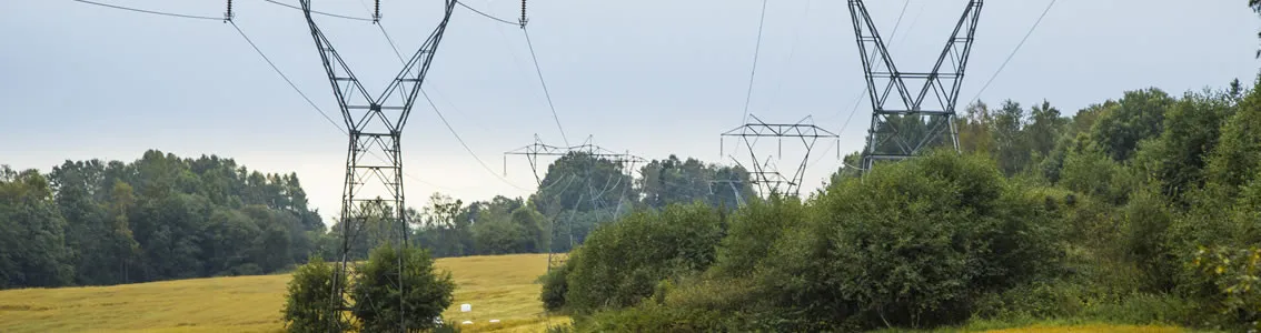 Design verification and quality assurance