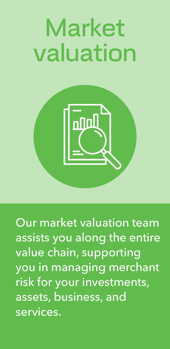 Market valuation for the energy transition