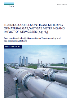 Fiscal metering of natural gas - advanced course (3 days)