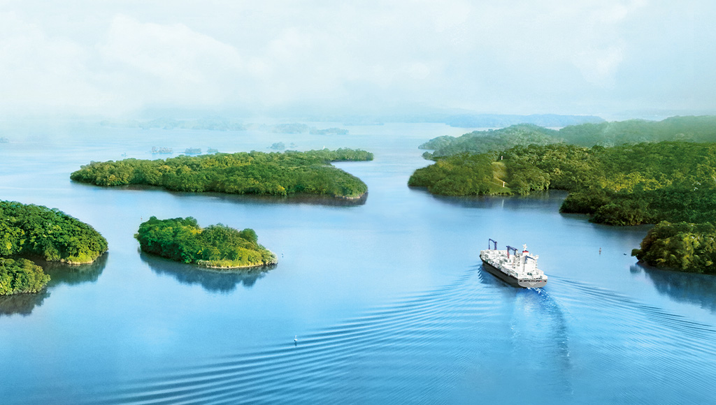 Consider all options on GHGs, says Maritime Forecast to 2050