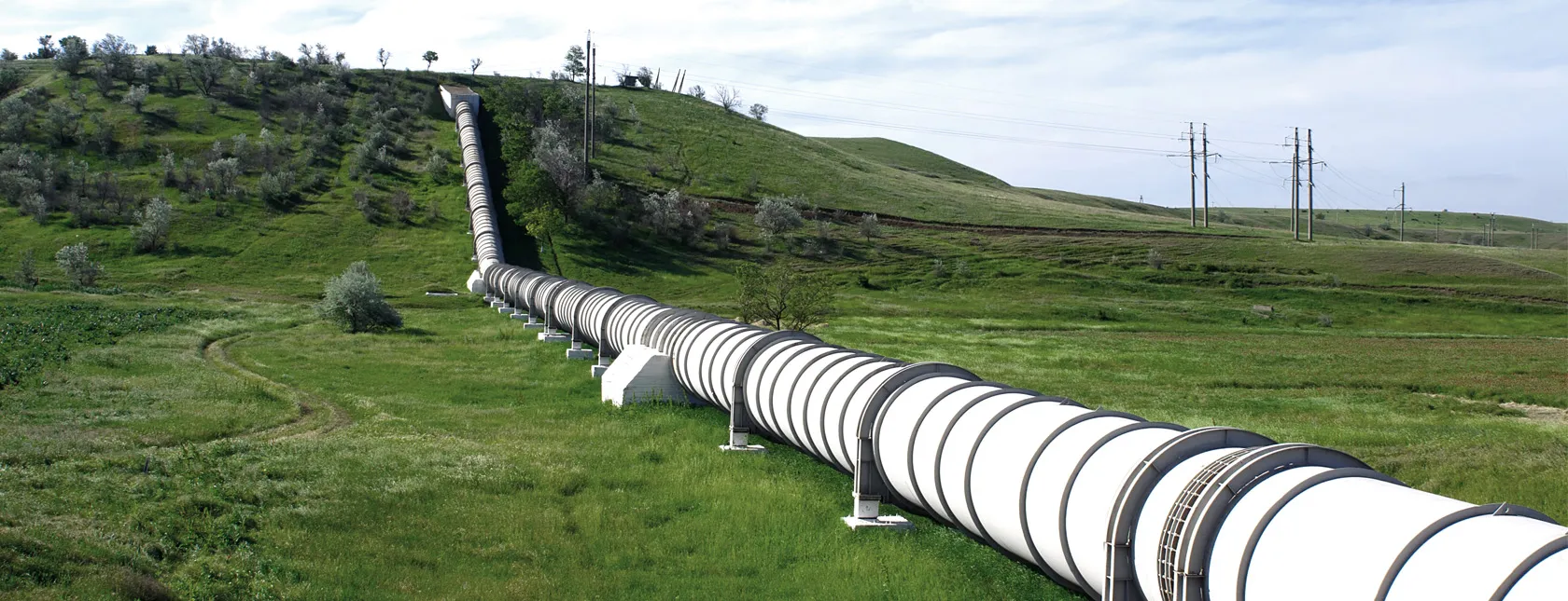 Recorded webinars | Plant software