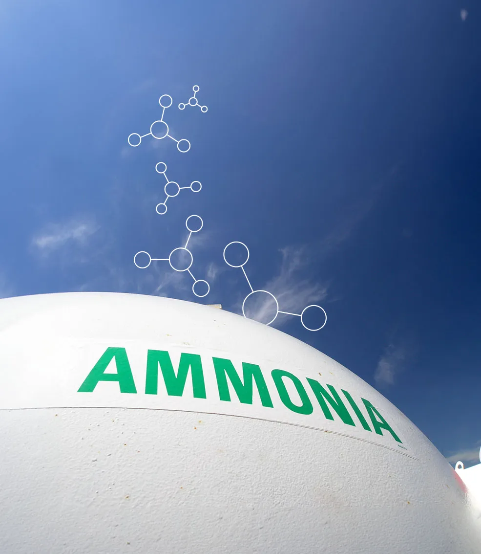 New ammonia chapter for technical and operational decision support