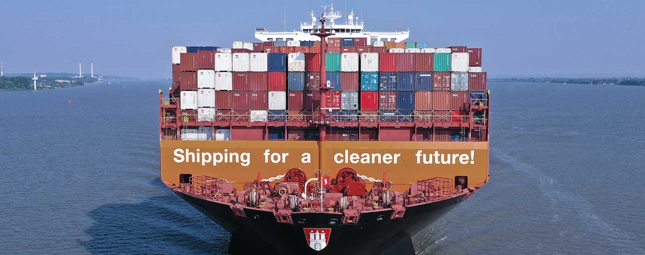 Alternative Fuels for Containerships: Methanol and Ammonia