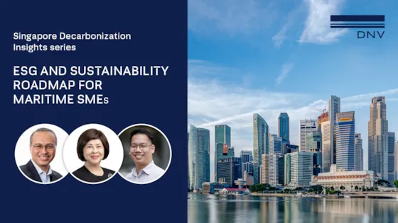 DNV Maritime Decarbonization and Smart Shipping Centre of Excellence