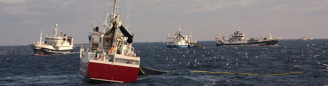 MSC Fisheries Standard