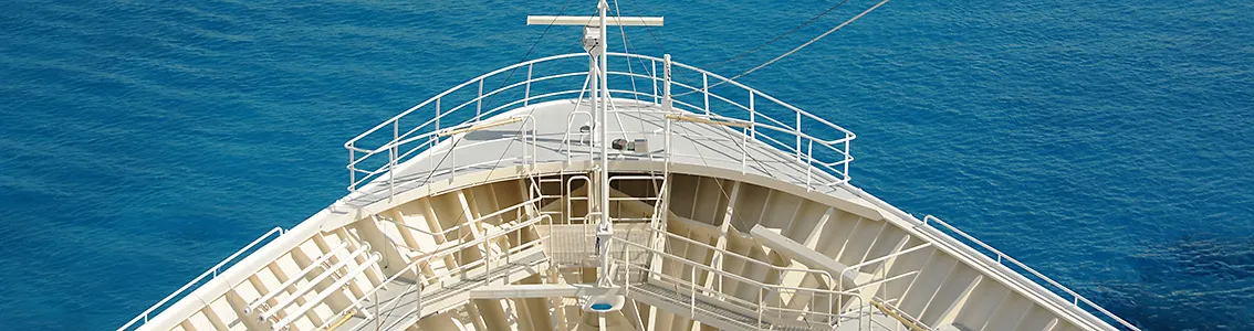 Fleet Status for owners and managers