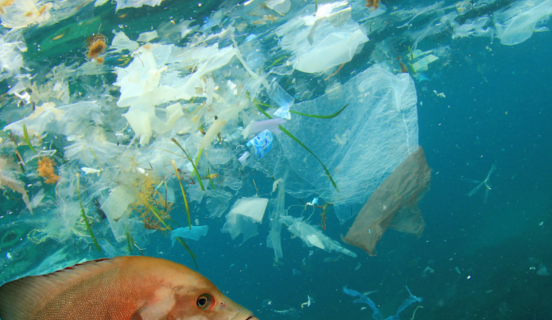 Operation Clean Sweep (OCS): Certification & Standard | DNV