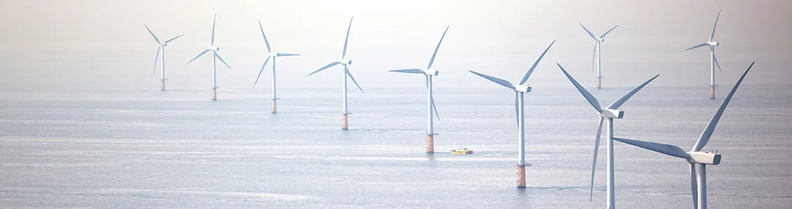 Front-end engineering design (FEED) studies for offshore wind farms