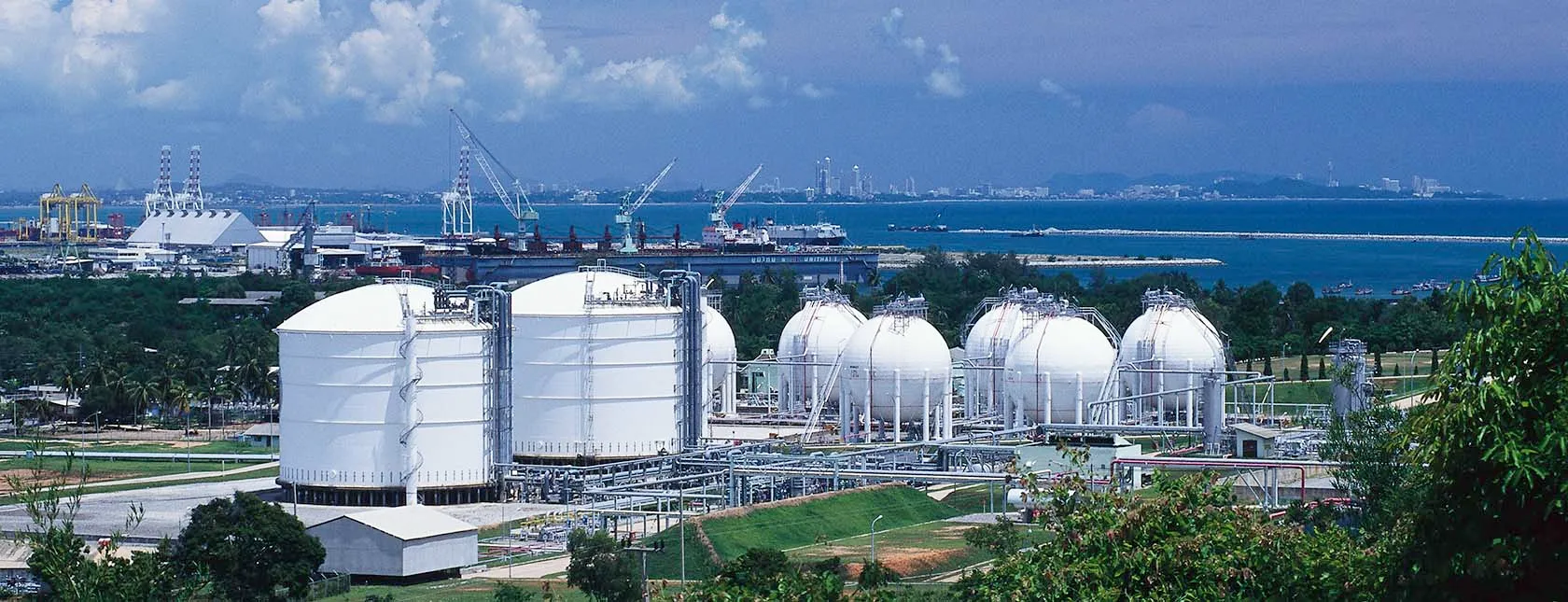 Recorded webinars | Plant software