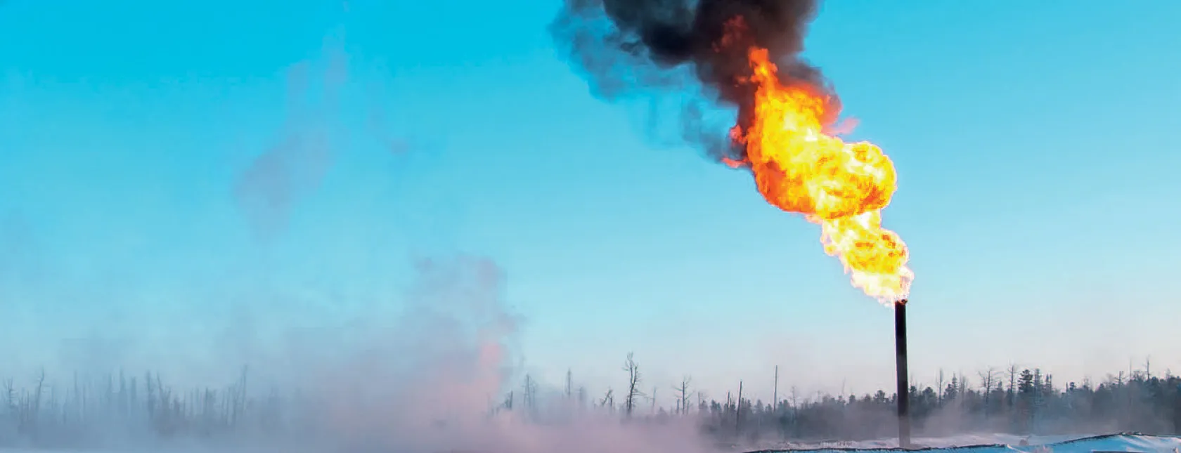 Recorded webinars | Plant software