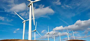 Wind resource assessment | WindFarmer: Analyst, 风资源评估软件, 发电量评估, 风电场开发, 尾流模型