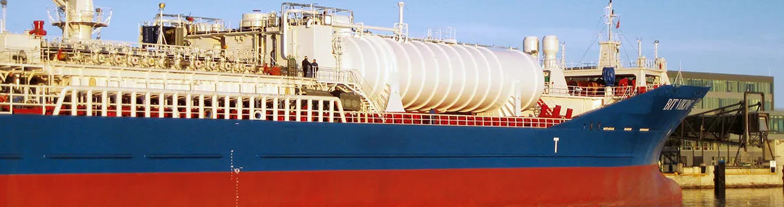 Risk assessment of LNG systems and components