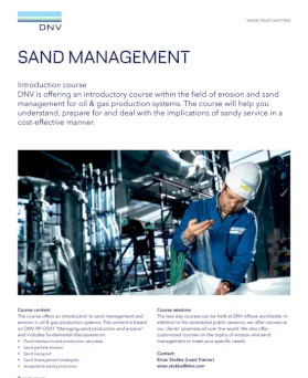 Introduction to sand management/erosion (2 days)