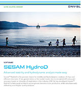 Sesam for floating structures