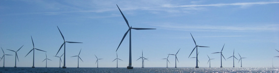 Site-specific design assessment of wind turbines