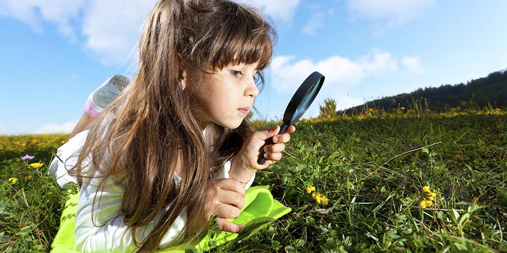 Synergi Life company specific reports training