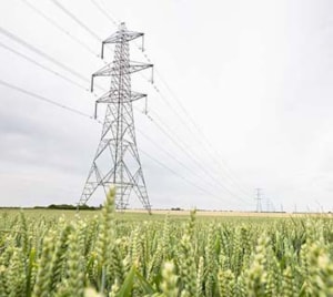 Distribution planning and circuit analysis for the electric grid