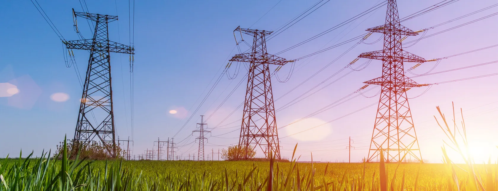 Recorded webinars | Electric Grid software