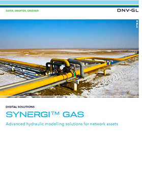 Synergi Gas