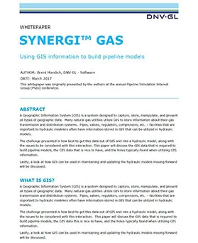 Synergi Gas