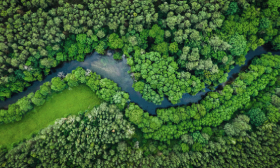 Health and safety management system and incident management software ...