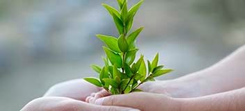 DNV uses Synergi Life on way to 'zero harm'