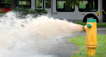 Liquid network analysis - Synergi Liquid - Modules