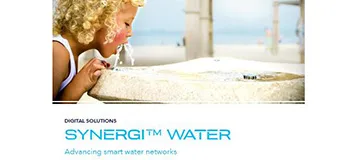 Subsystem Management | Synergi Liquid