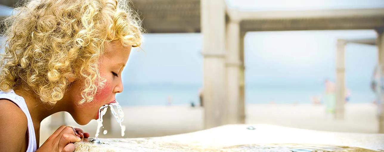 Liquid network analysis - Synergi Liquid - Videos