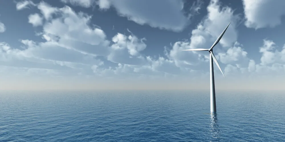 使用DNV认证标志