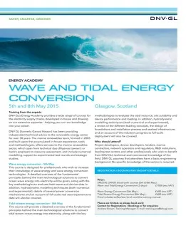 Wave Energy Conversion