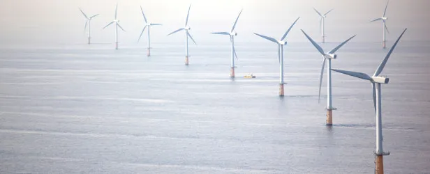 Renewables: projects