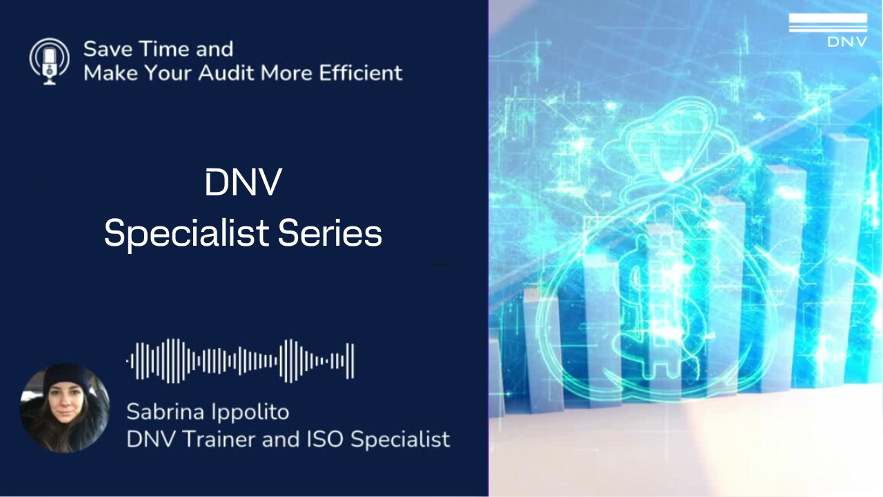 Save Time and Make Your Audit More Efficient